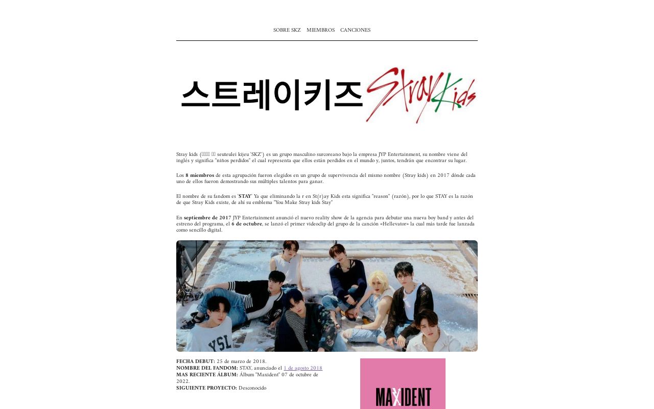 Guía para Skz en español